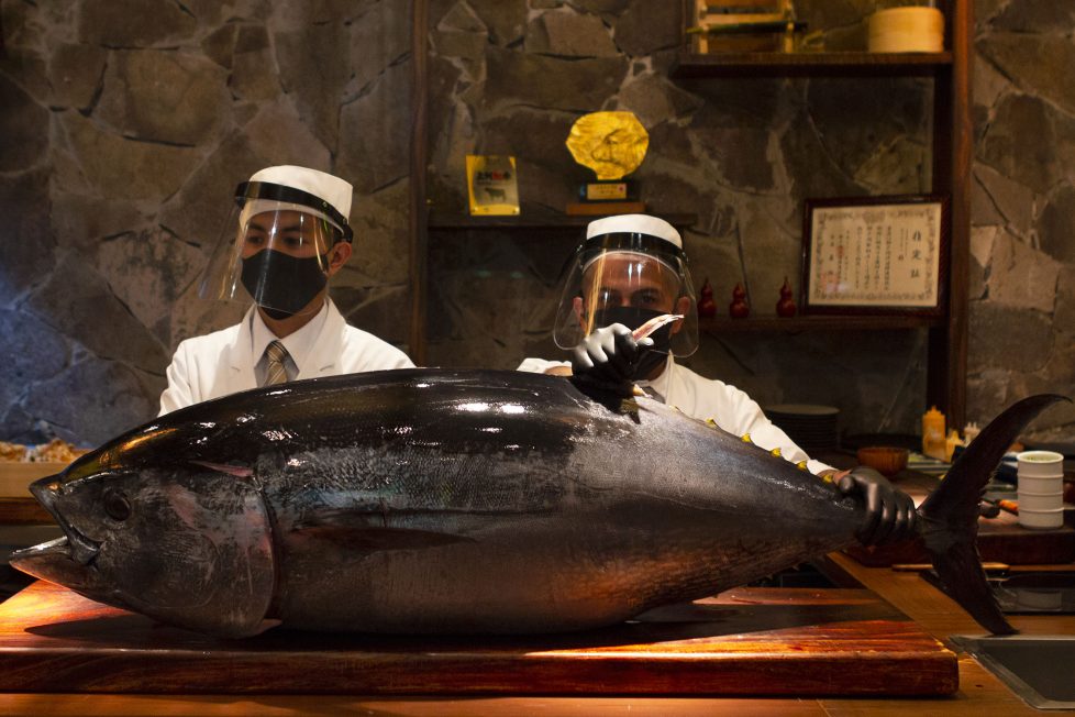 La experiencia del ronqueo en Ryoshi Masaryk - Tripulante Mx